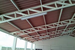 Qué estructuras se pueden encontrar en claros grandes